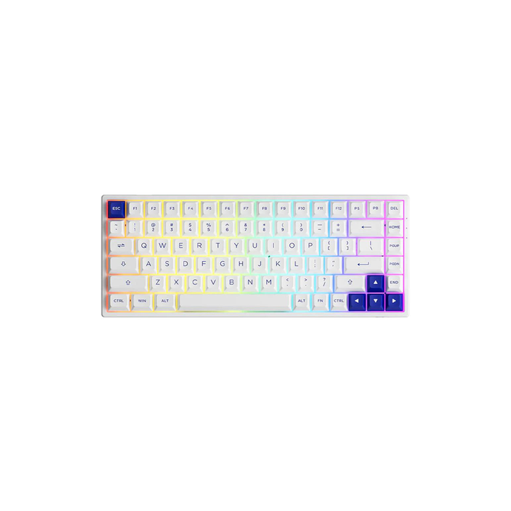 Akko White & Blue 3084B Plus Multi-Mode Wireless Keyboard - Akko Jelly